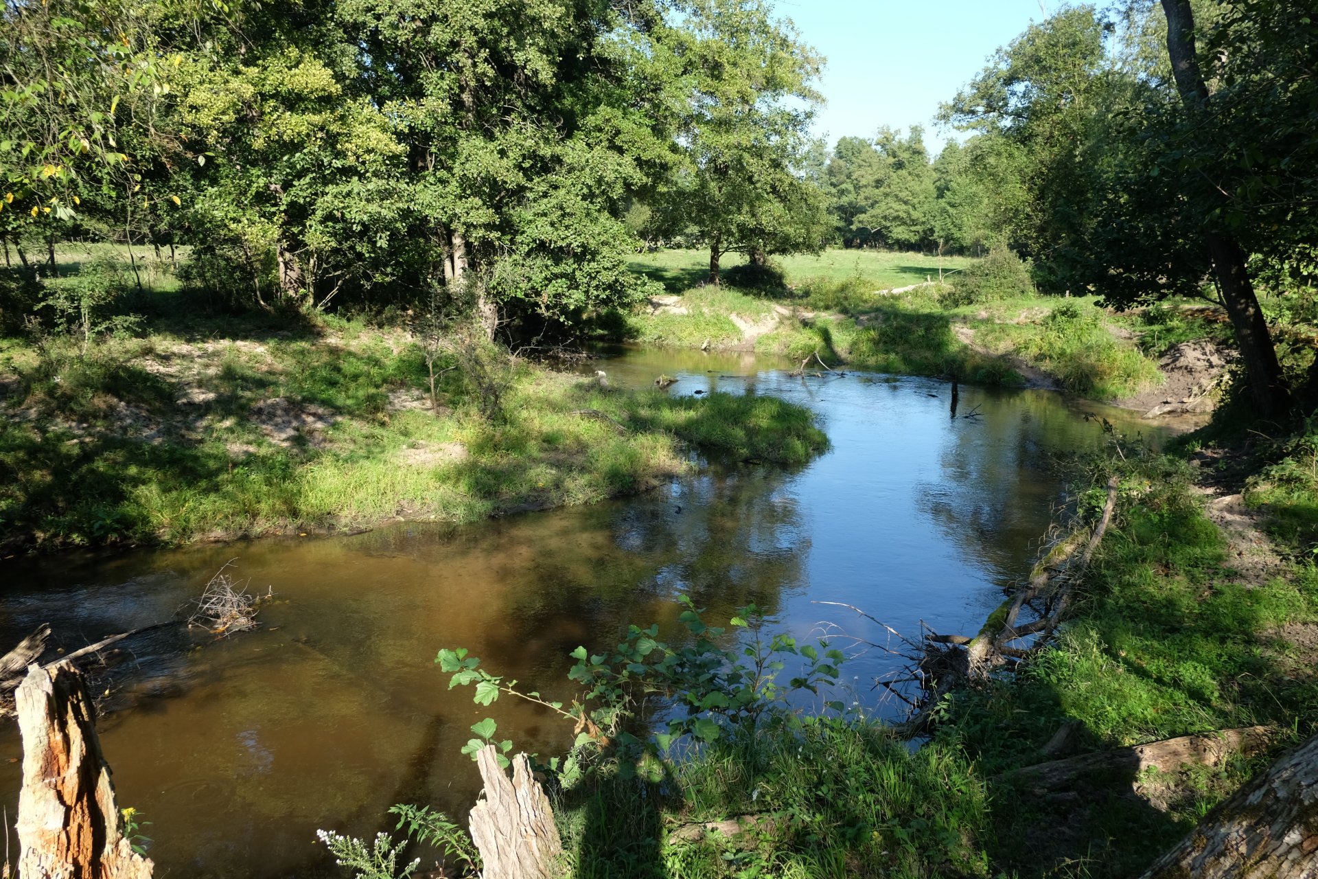 Na zdegradované rašelinisko pri Rudave sa vracajú vzácne druhy. Aj ...